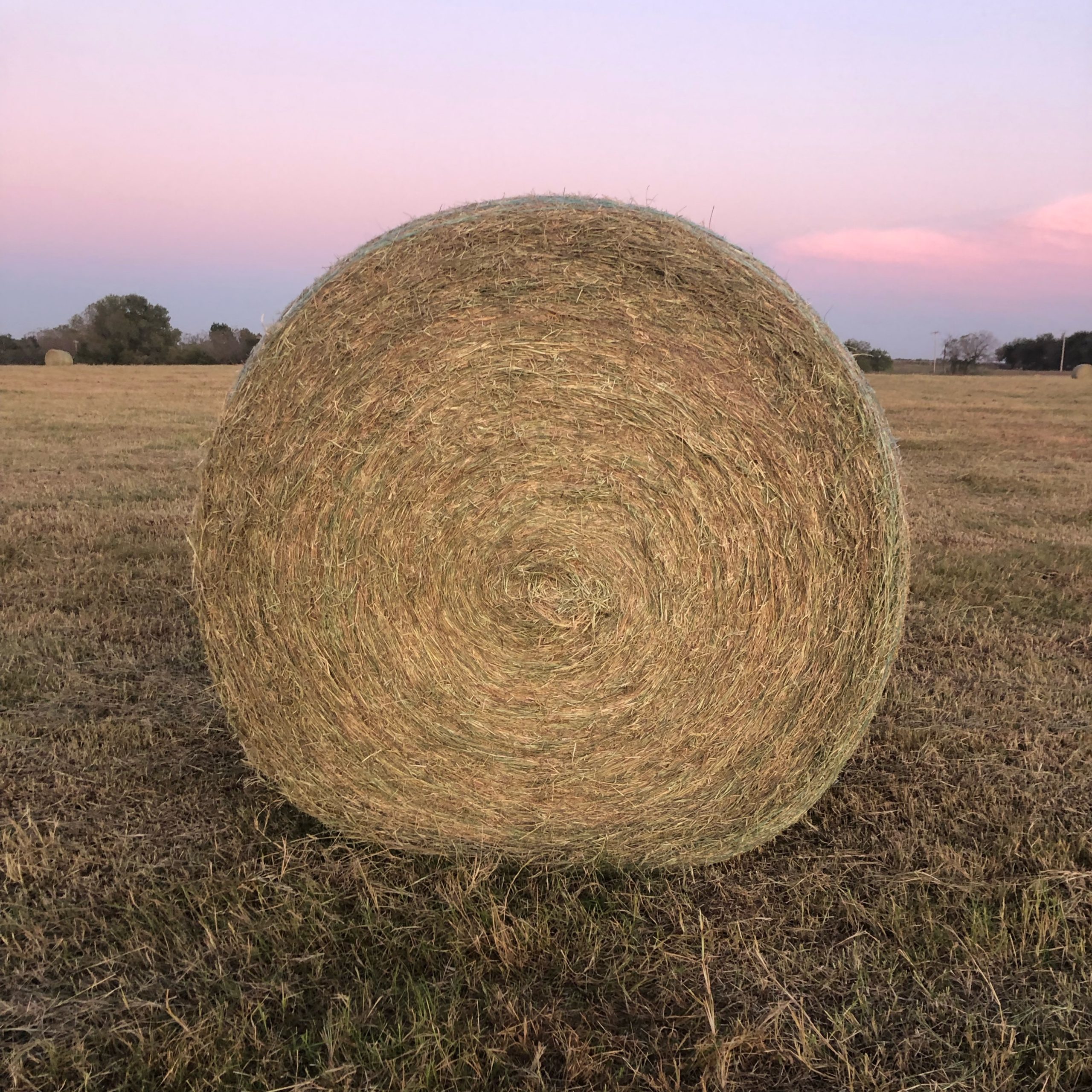 Coastal-Bermuda for Sale In Mustang, OK - HayMap