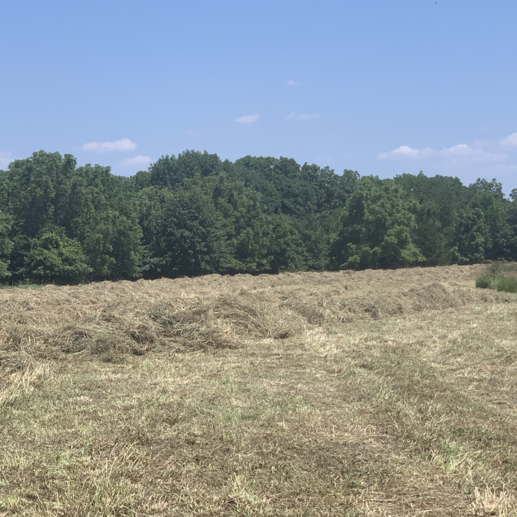 Sudan for Sale In Loraine, IL - HayMap